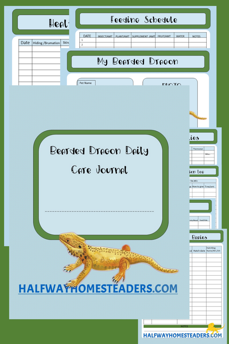Bearded Dragon Daily Care Journal – Mulberry Wind Acres