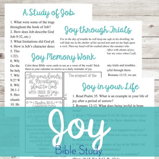 Joy Bible Study - Adults – Mulberry Wind Acres