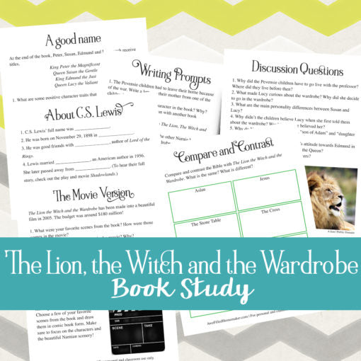 The Lion, The Witch and The Wardrobe Book Study – Mulberry Wind Acres